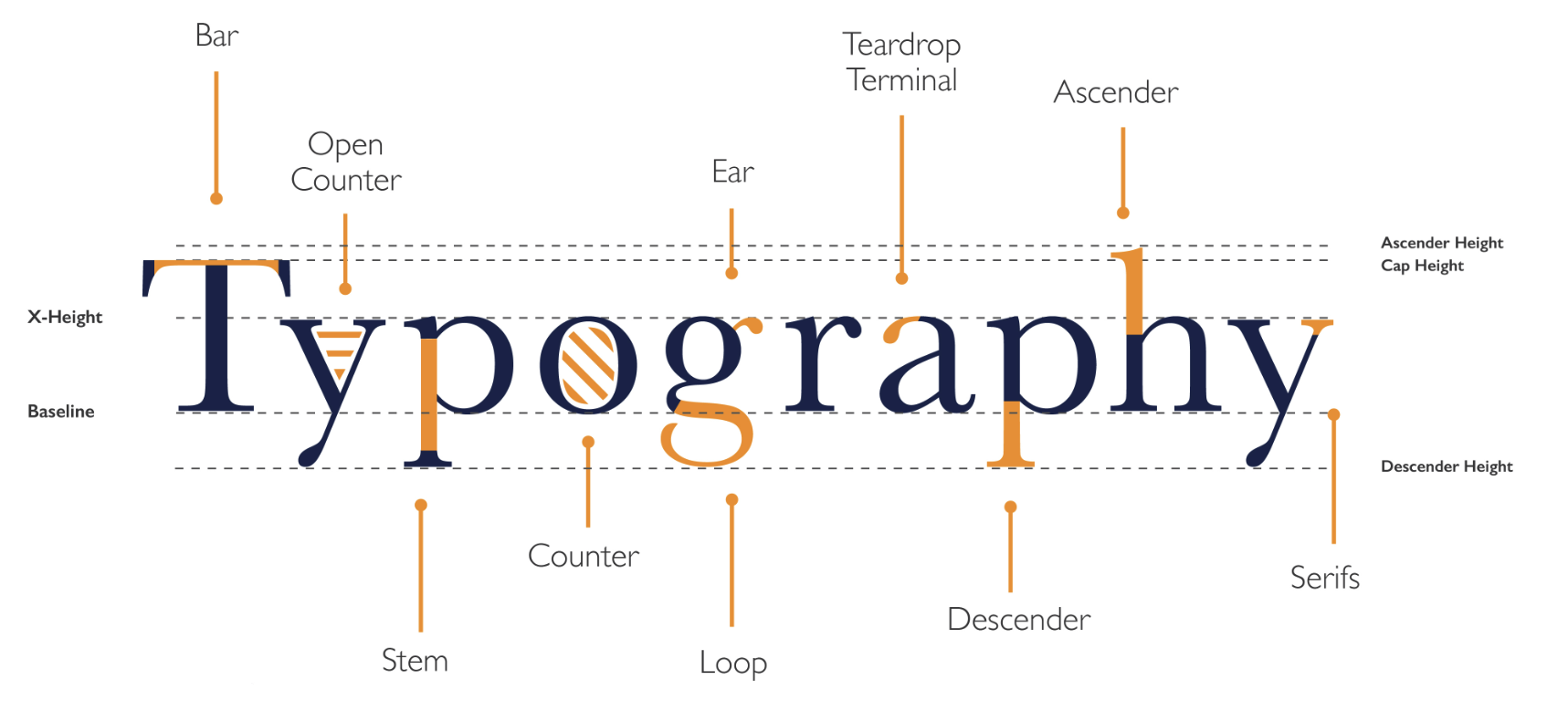 Guía UX: Qué es la Type Anatomy (Anatomía de la tipografía)